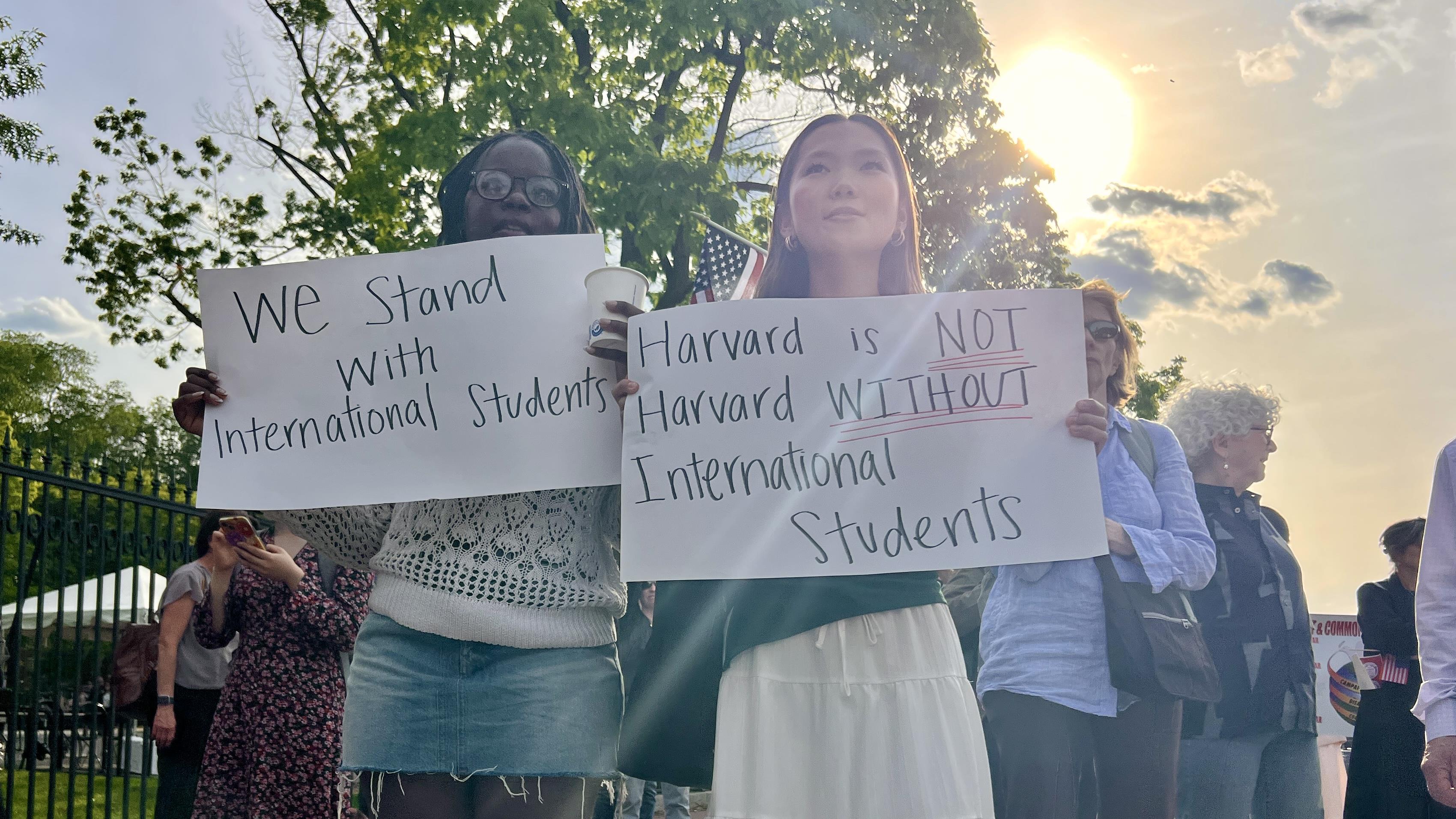 Harvard : un campus sous tension | OHdio | Radio-Canada