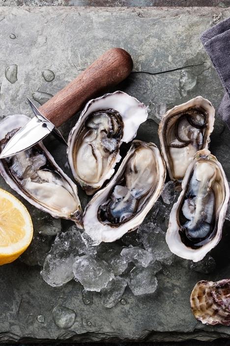 La programmation du Festival des Huîtres de Maisonnette | OHdio | Radio ...