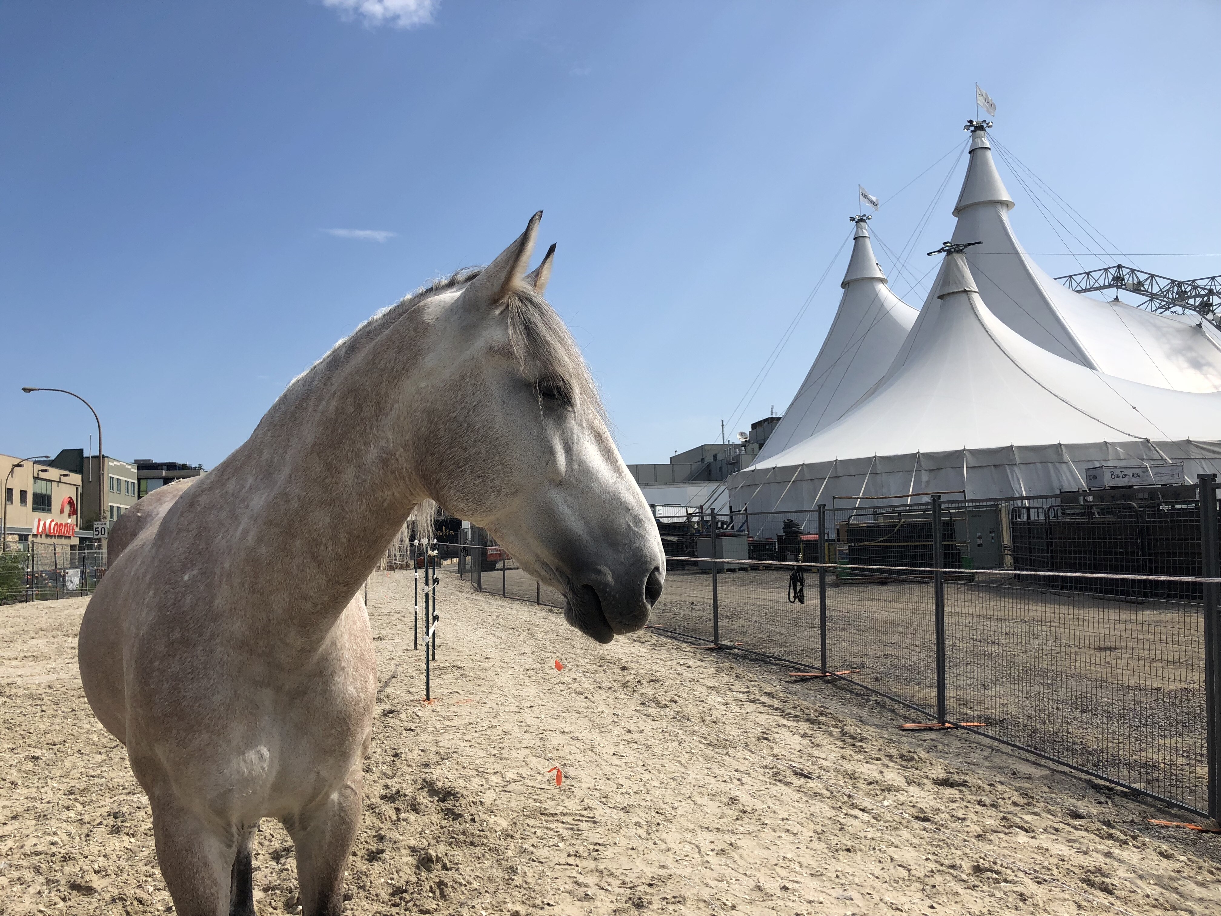 Notre édition week-end | Radio-Canada.ca