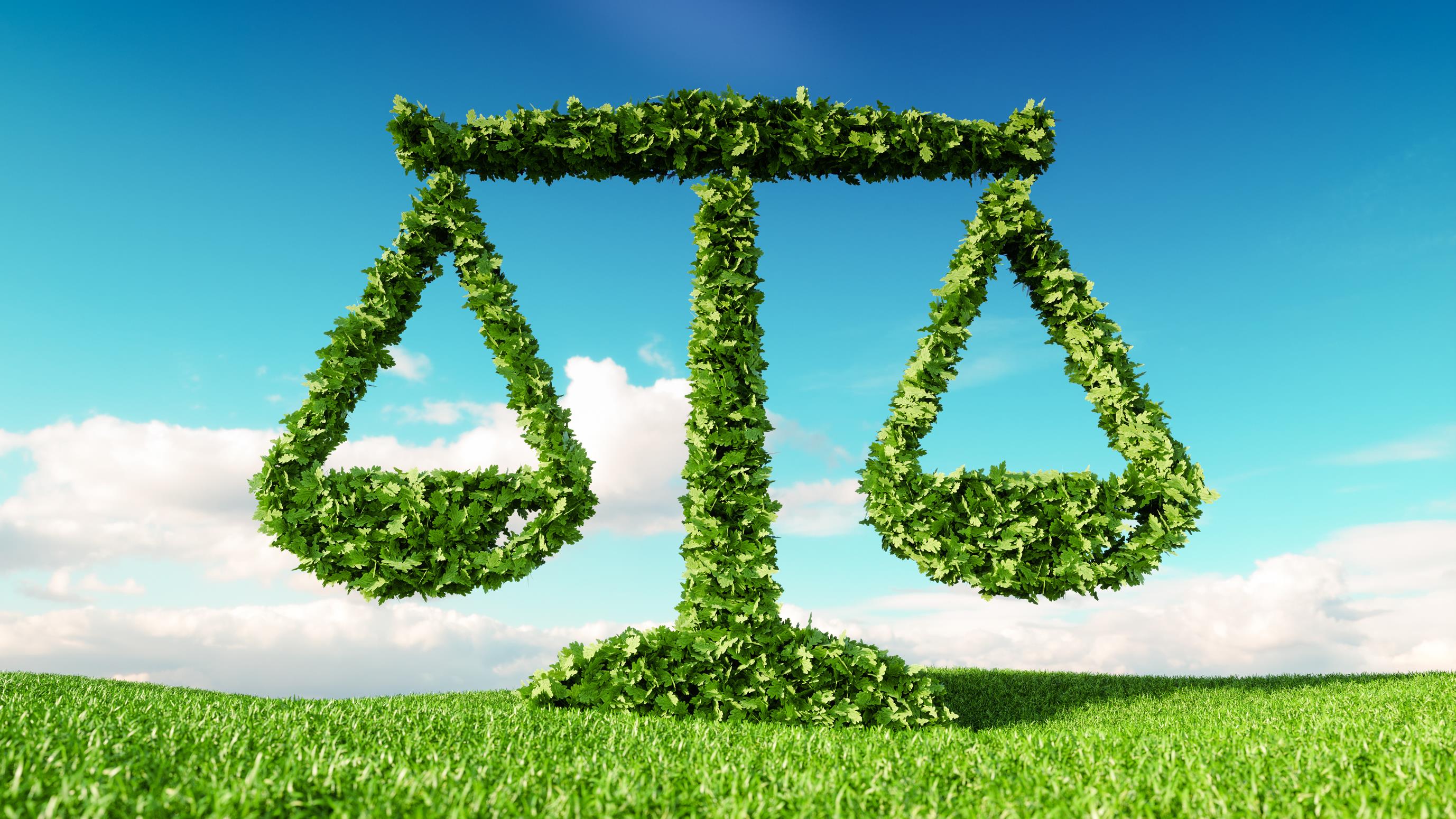 Et si les forêts avaient des droits légaux? | OHdio | Radio-Canada