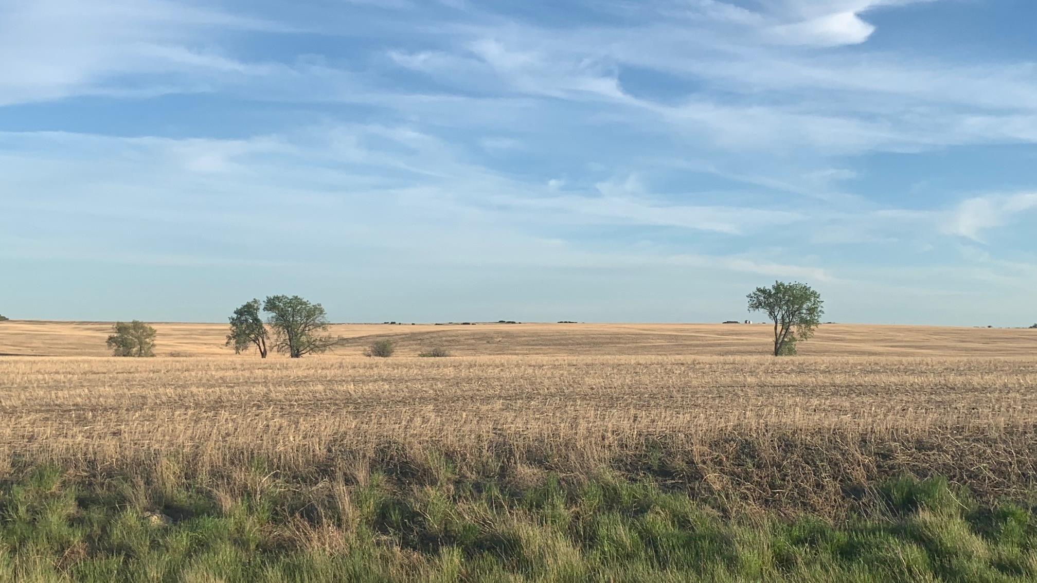 Le point sur la saison agricole | OHdio | Radio-Canada