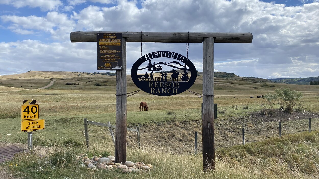 Une expérience inédite au Reesor Ranch | Radio-Canada