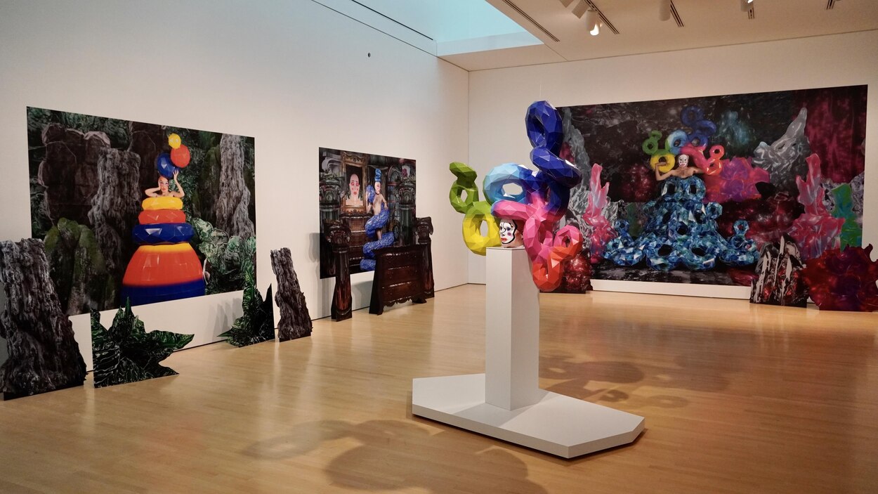 Prix Sobey pour les arts : les finalistes exposent au MBAC | Radio-Canada