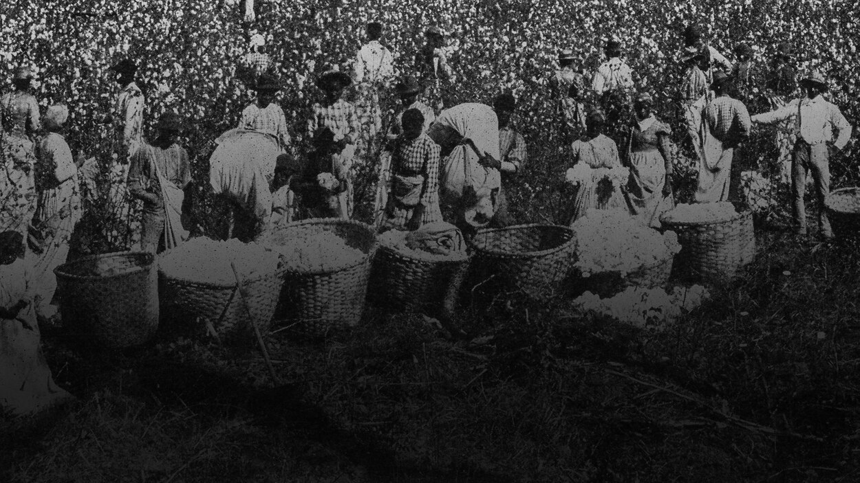 Fugitifs!, l’histoire des esclaves en fuite | Radio-Canada.ca
