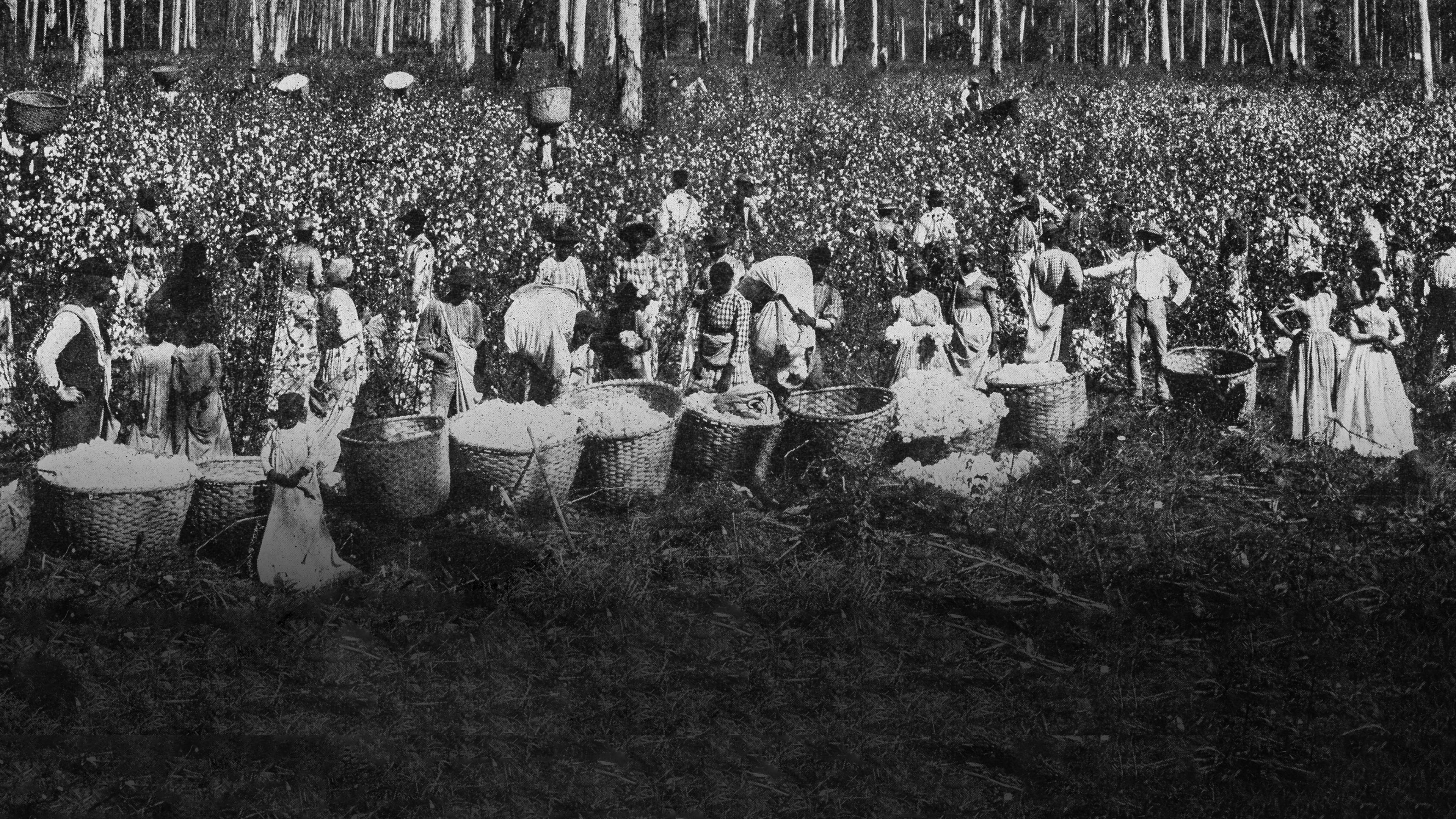Fugitifs! , l’histoire des esclaves en fuite | Radio-Canada.ca