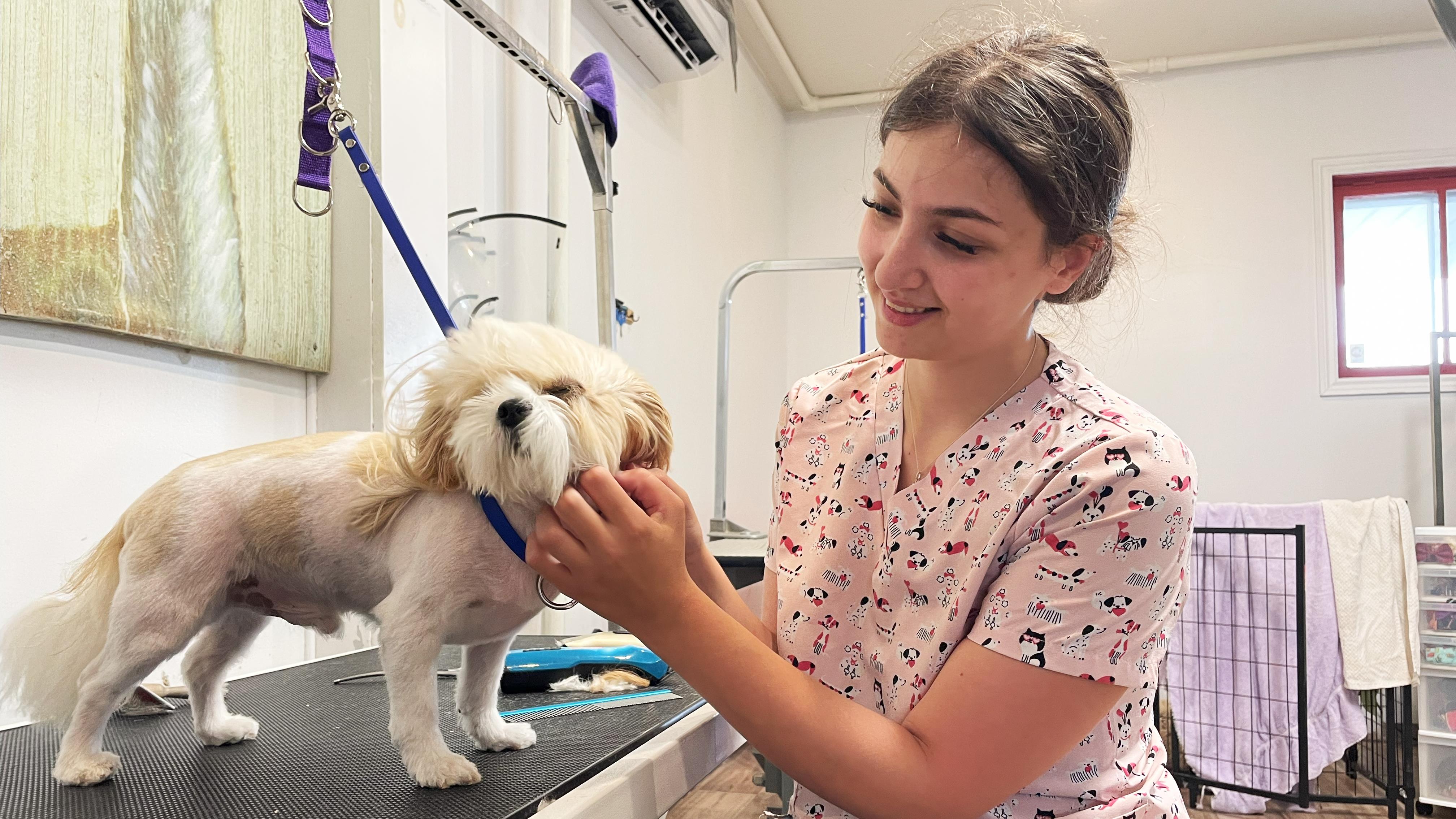 Le toilettage canin : bien plus qu’une coupe de poils! | OHdio | Radio ...