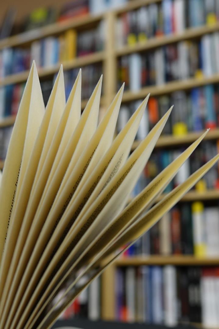 Diane Gionet-Haché lance sa biographie | OHdio | Radio-Canada