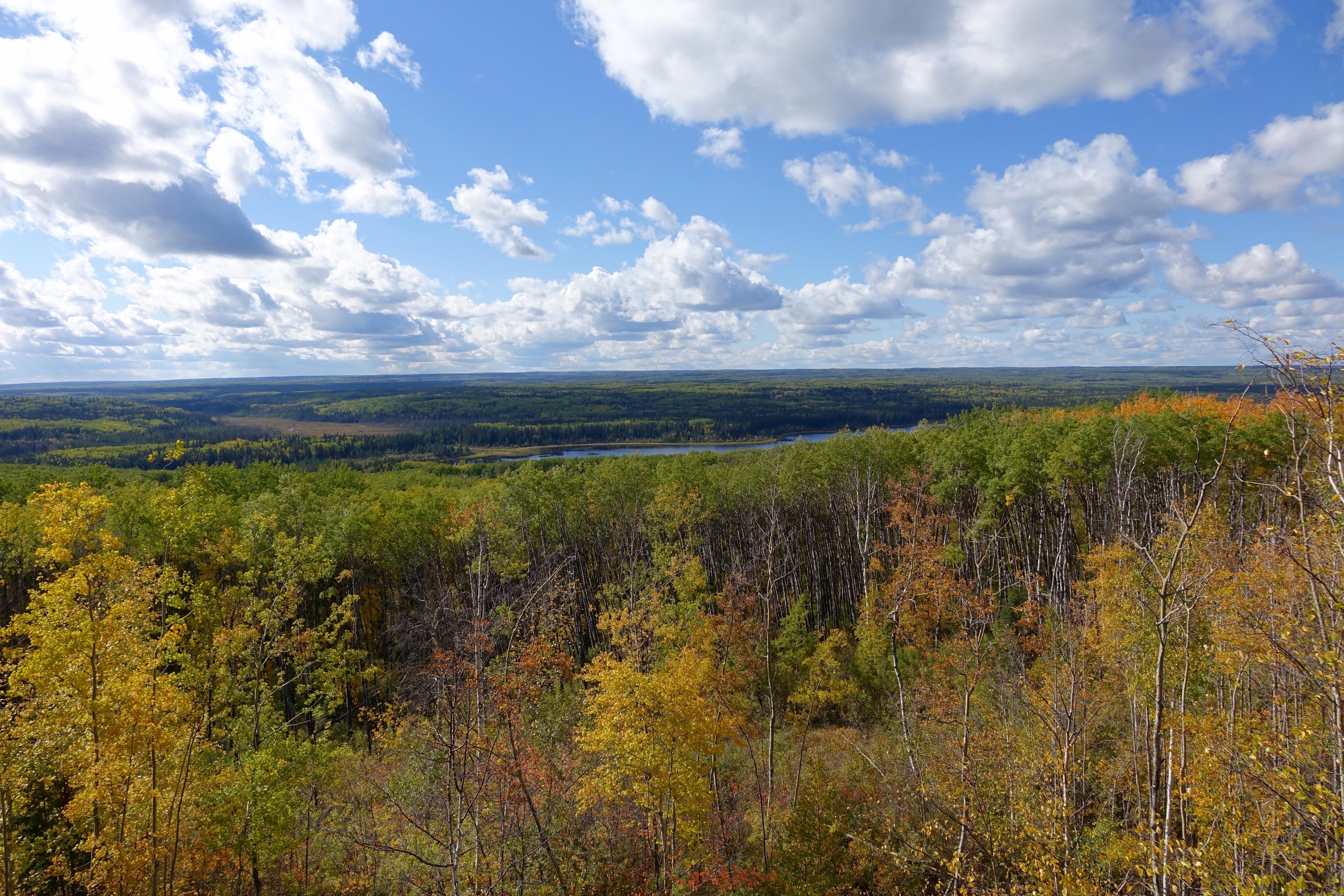 L’automne au parc national de Prince Albert avec Barb Riley | Radio ...