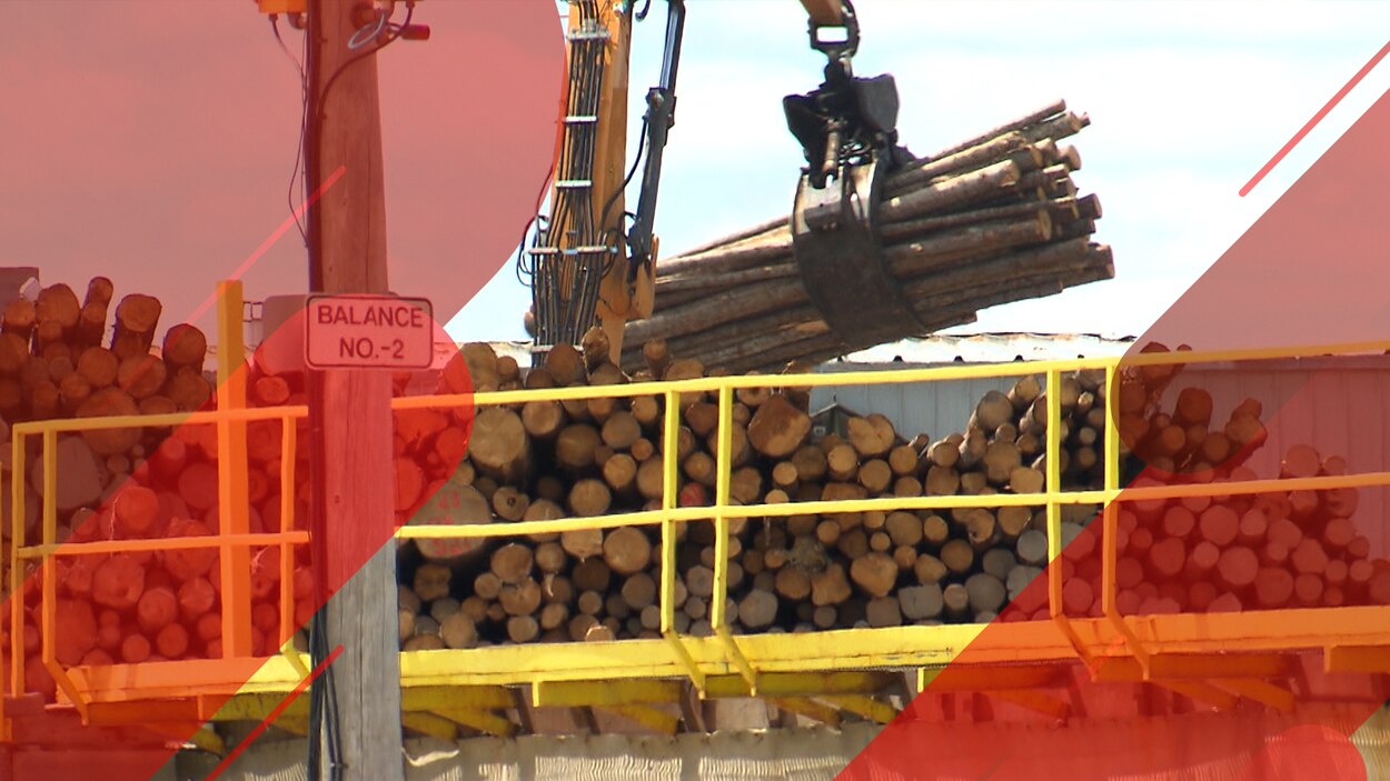 Domtar acquiert Produits forestiers Resolu, exaspération des agences de ...