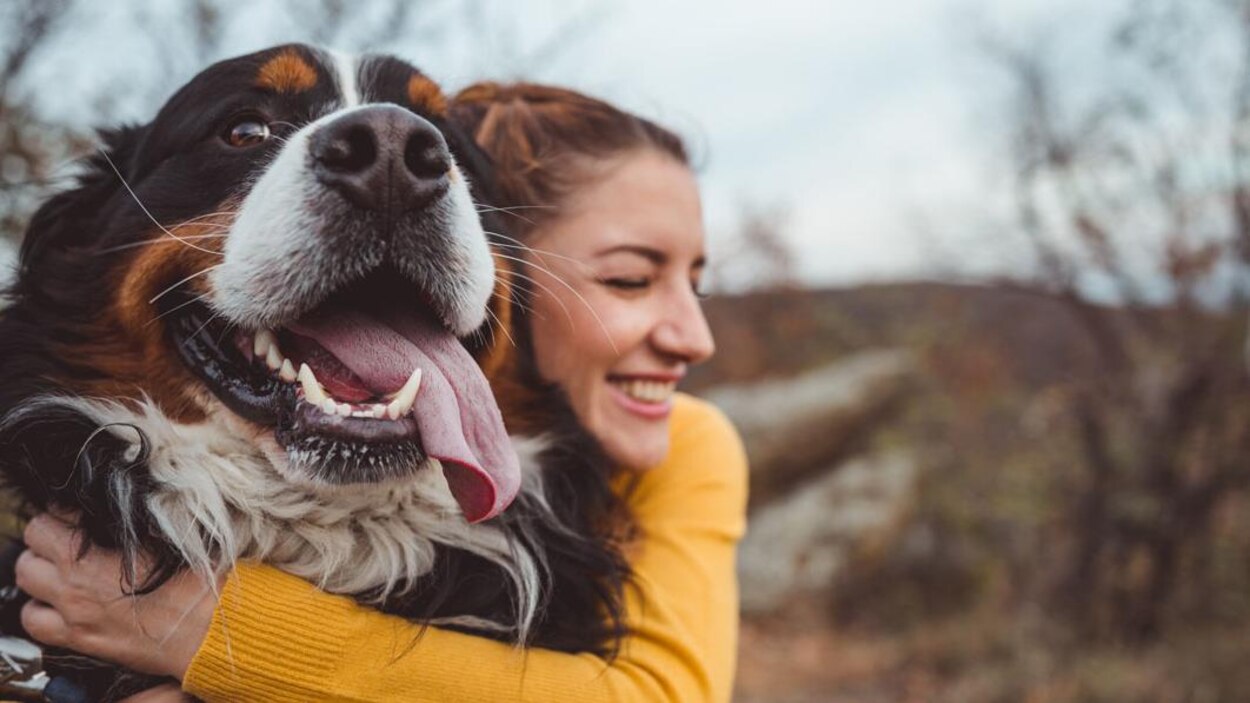 Une première formation de la SPA de l'Estrie pour prévenir les morsures ...