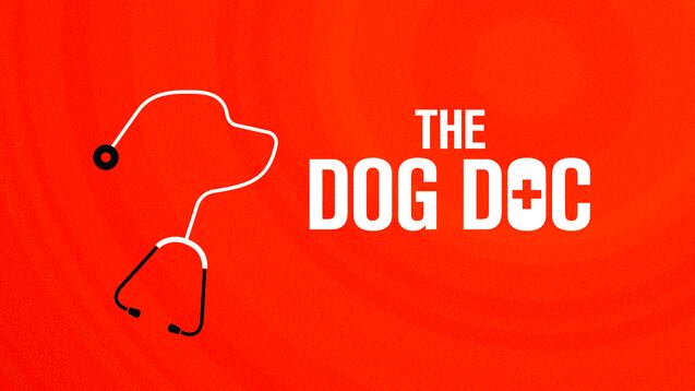 The Dog Academy | Shows | CBC Gem