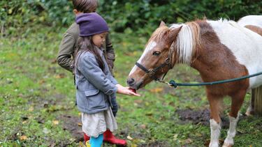 Jessie & The Gumboot Kids | Short-form Series | CBC Gem
