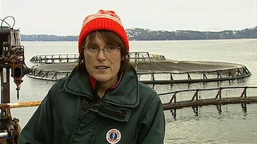 Land and Sea Network | Shows | CBC Gem