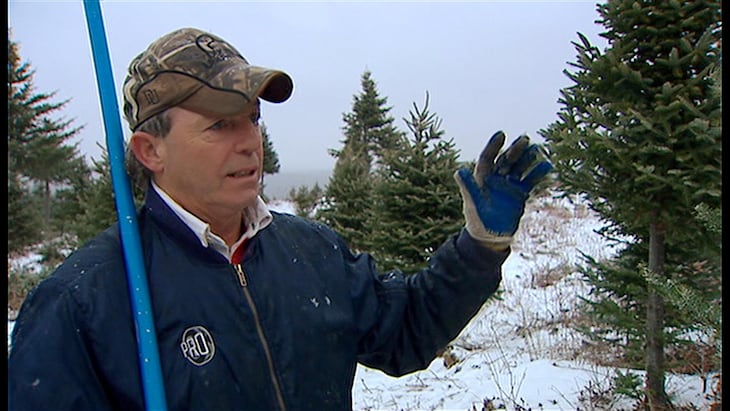 Land and Sea NFLD | Shows | CBC Gem