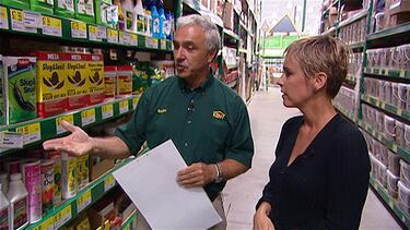 Marketplace | Shows | CBC Gem