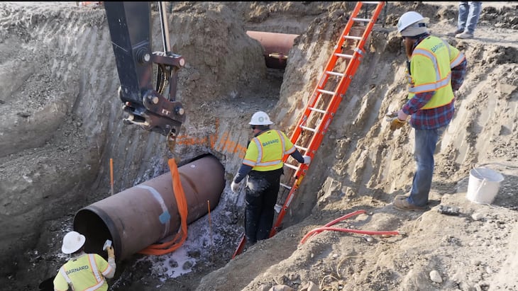 Rosemary Barton Live | Shows | CBC Gem