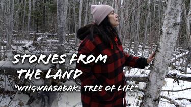 Stories from the Land | Short-form Series | CBC Gem