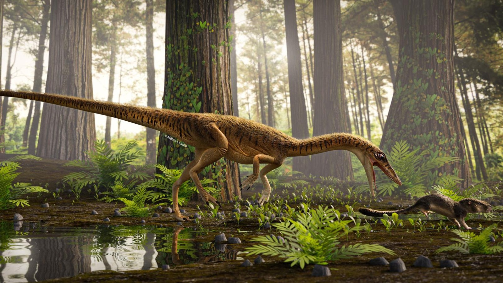 Épisodes | On va se le dire | ICI Radio-Canada.ca Télé