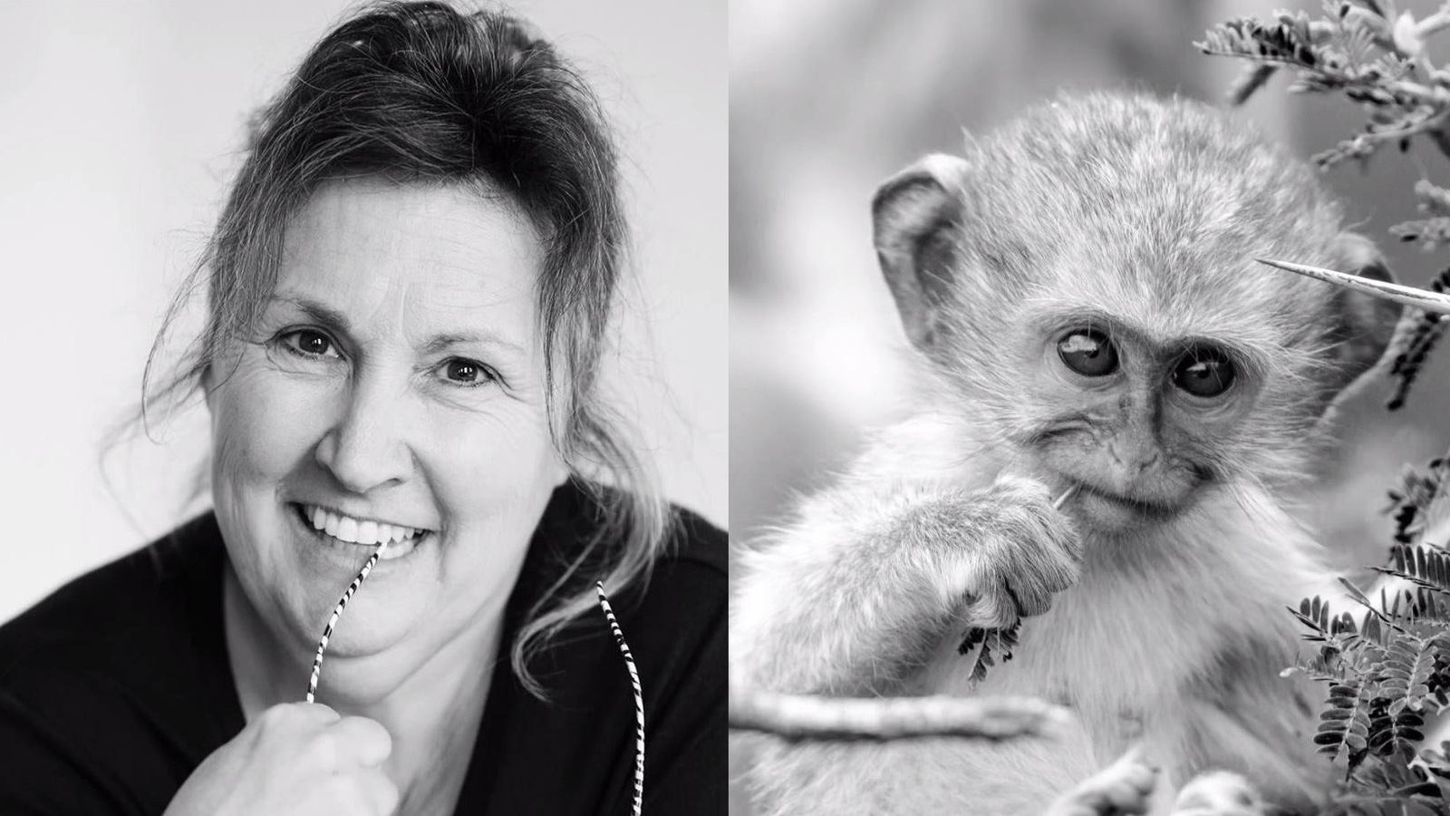 L’animal miroir de nos vedettes | ICI.Radio-Canada.ca