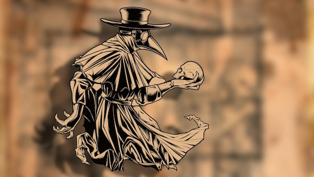 Segment | Découverte | ICI Radio-Canada.ca Télé