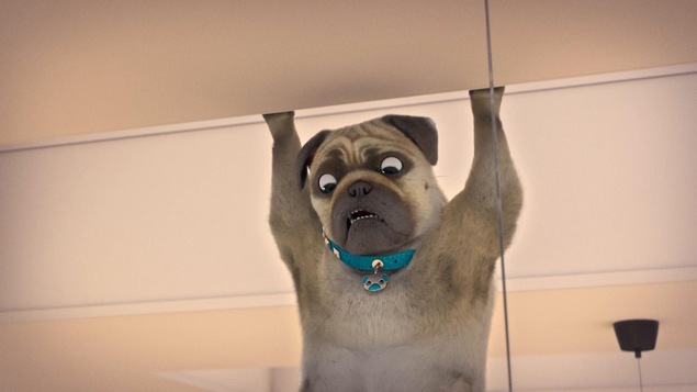 Video | Mike, une vie de chien! | Épisode | Ne faites pas ceci à la ...