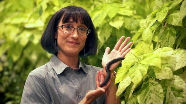 Video | Bestioles et cie | Épisode | Le froid | ICI Radio-Canada.ca ...