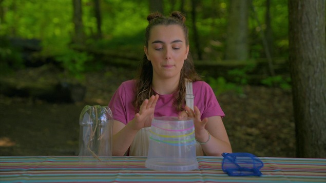 Video | Bestioles et cie | Épisode | Les insectes aquatiques | ICI ...