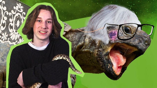 Video | Oniva! | Épisode | Amphibien ou reptile? | ICI Radio-Canada.ca ...