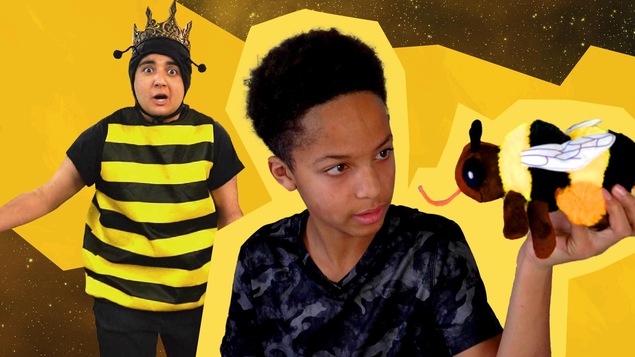 Video | Oniva! | Épisode | Fascinantes abeilles | ICI Radio-Canada.ca ...