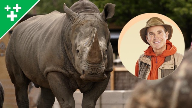 Video | Arthur L'aventurier | Épisode | Arthur au Zoo : Le rhinocéros ...