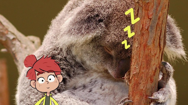 Video | Le refuge d'Audrey | Épisode | Les animaux rêvent-ils? | ICI ...